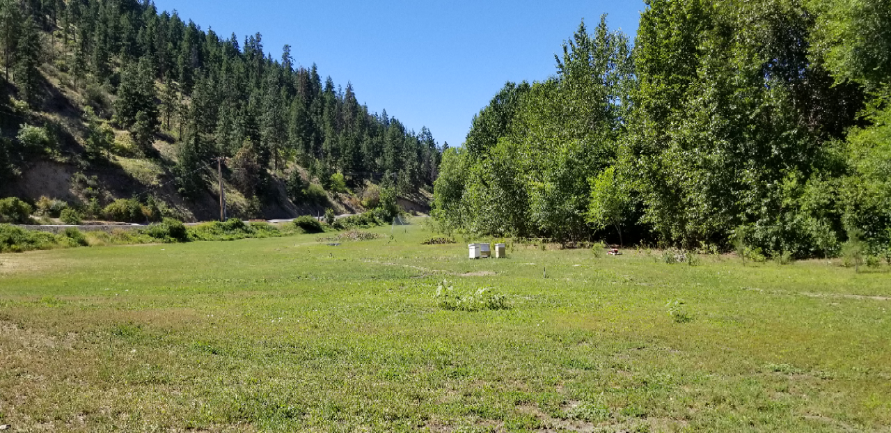 Lullaby Farms - Hipcamp in Cashmere, Washington