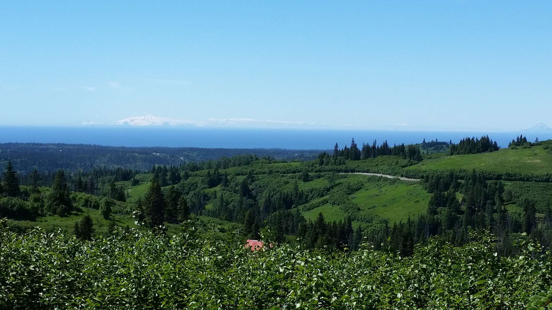 Hidden Springs Homestead - Hipcamp in Anchor Point, Alaska