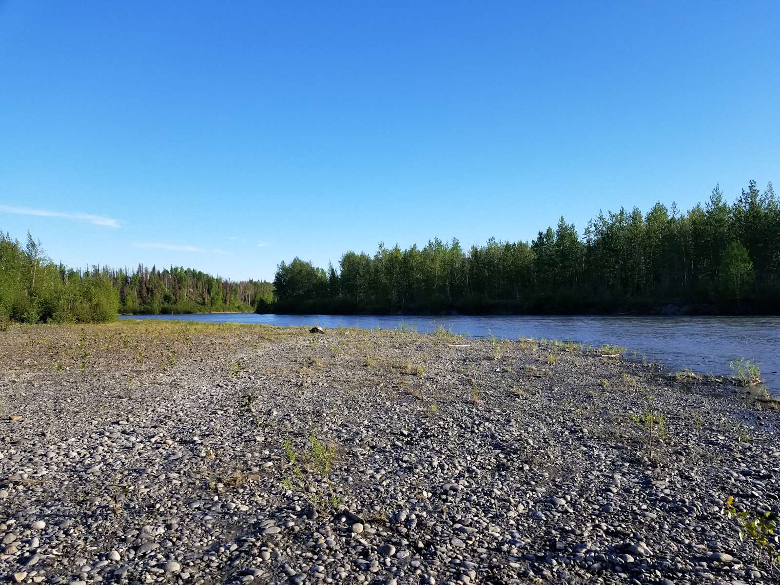 Moose Trail lodging and camping - Hipcamp in Willow, Alaska