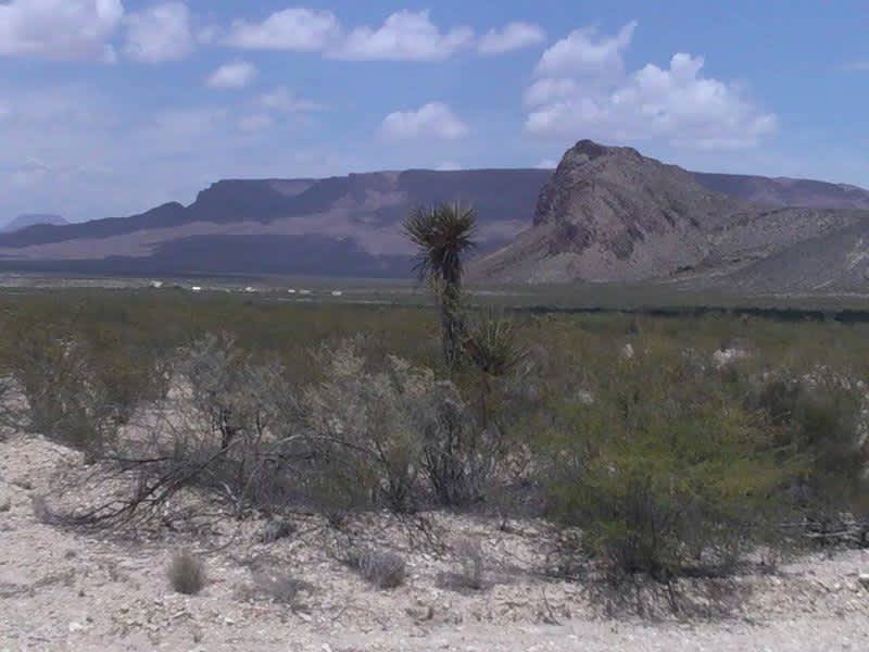 Roman Holiday Ranch - Hipcamp in Study Butte, Texas