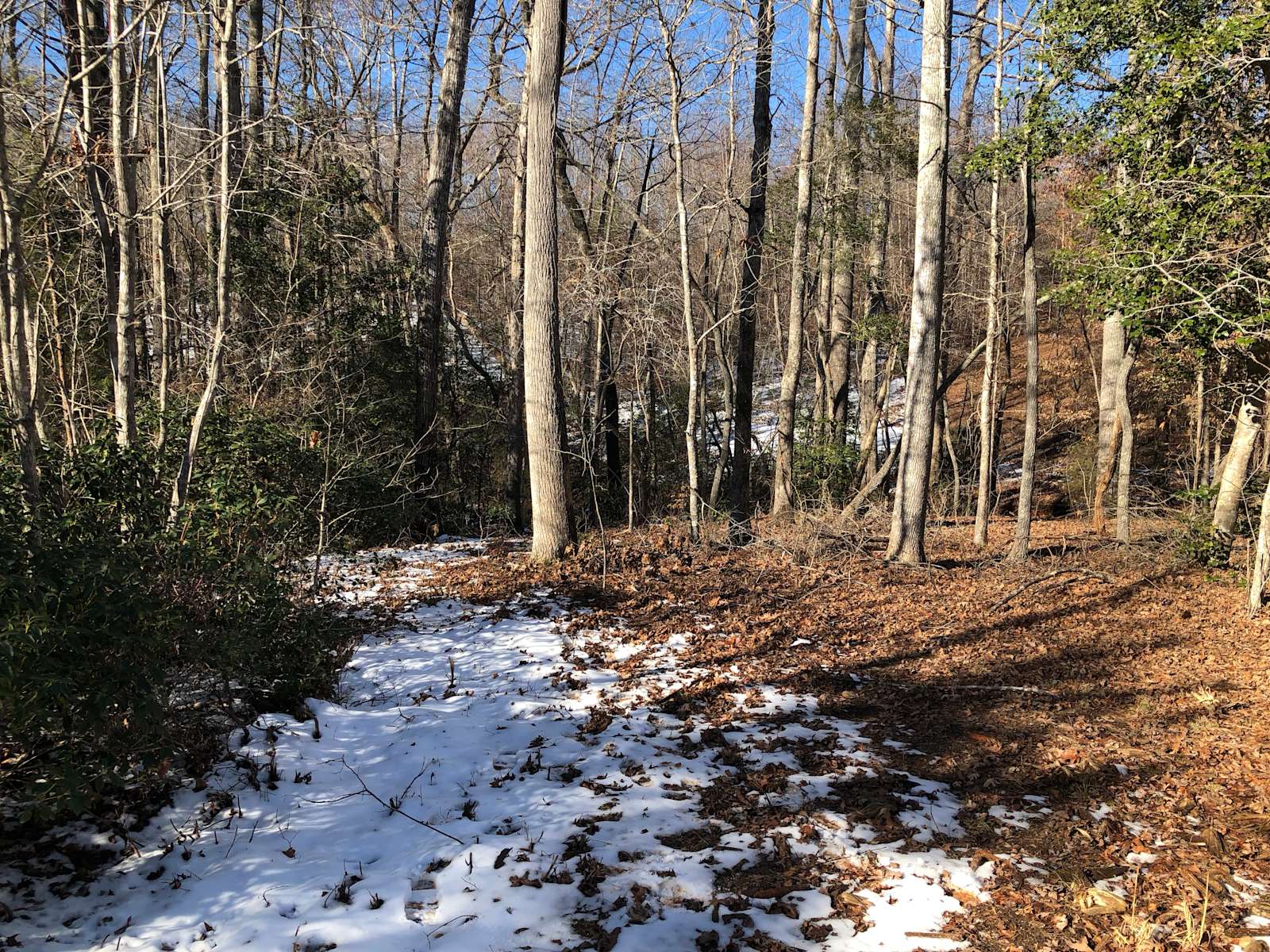 Poplar Creek Farms - Hipcamp in Fingerville, South Carolina