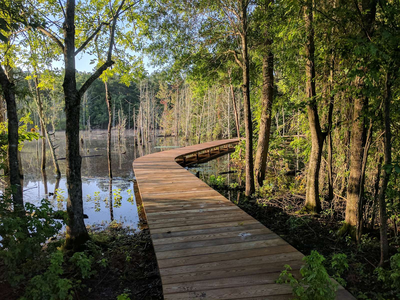 Wild Hope Farm - Hipcamp in Chester, South Carolina