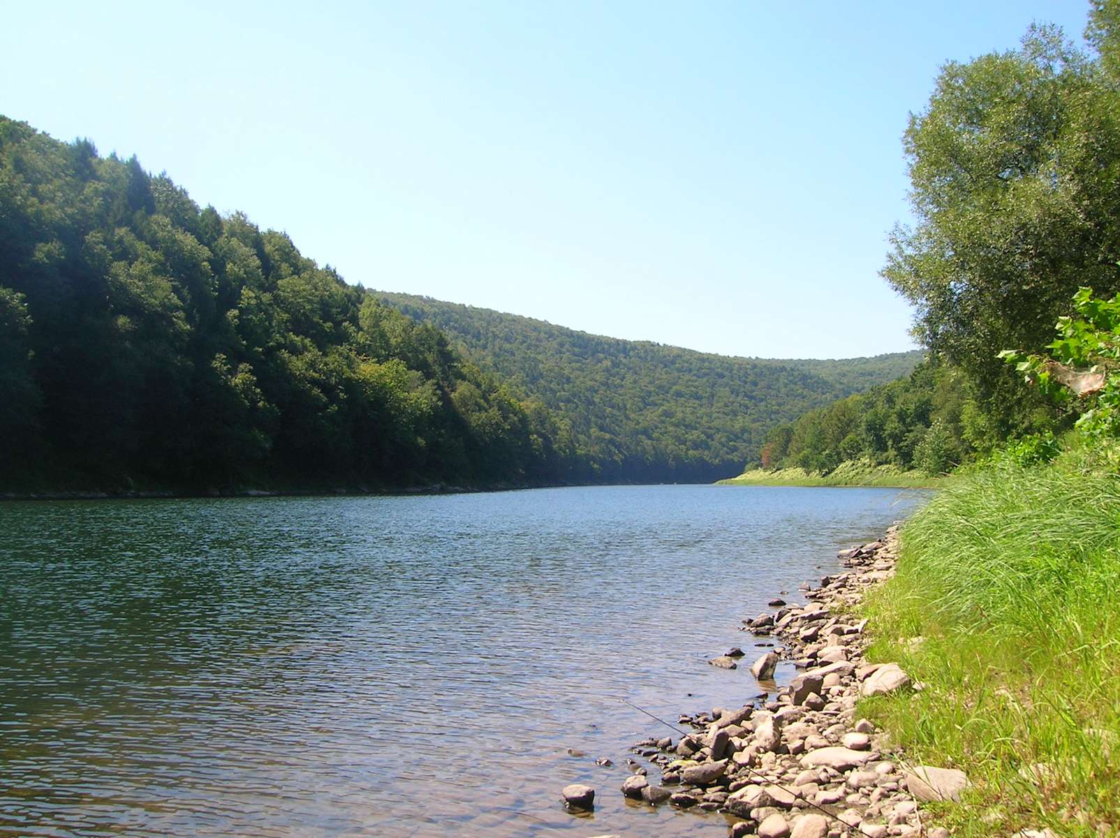 Camp Handsome Hollow - Hipcamp in Long Eddy, New York