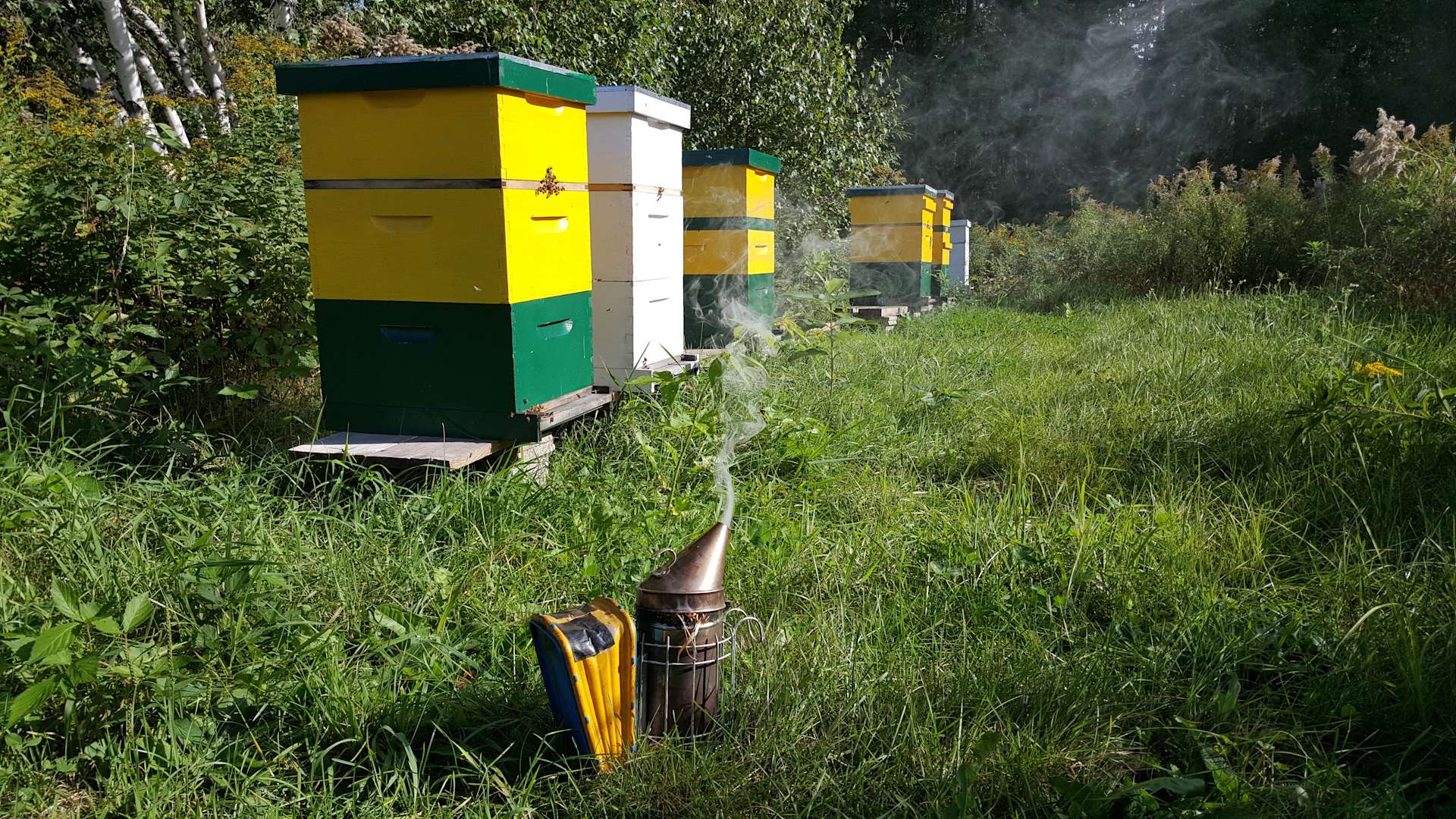 Camping at Runamuk Acres - Hipcamp in New Portland, Maine