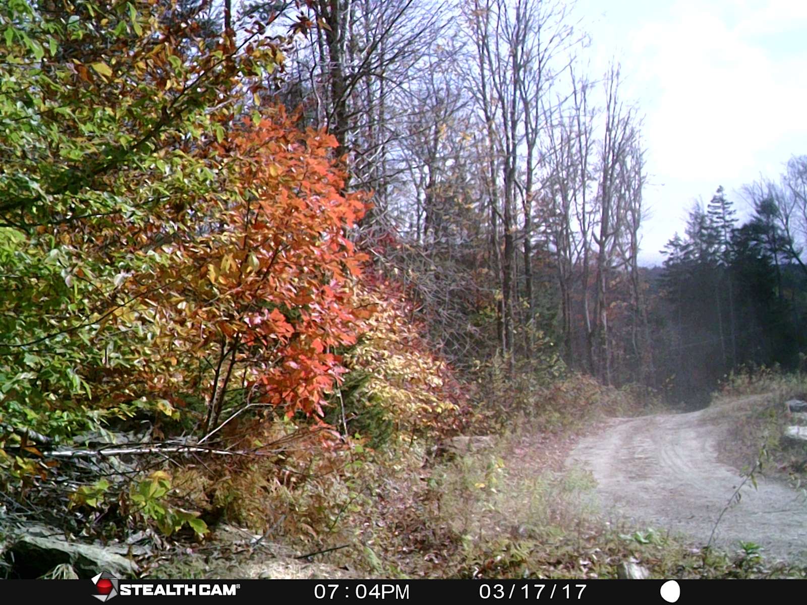 Uncle Denn's - Hipcamp in Windham, Vermont