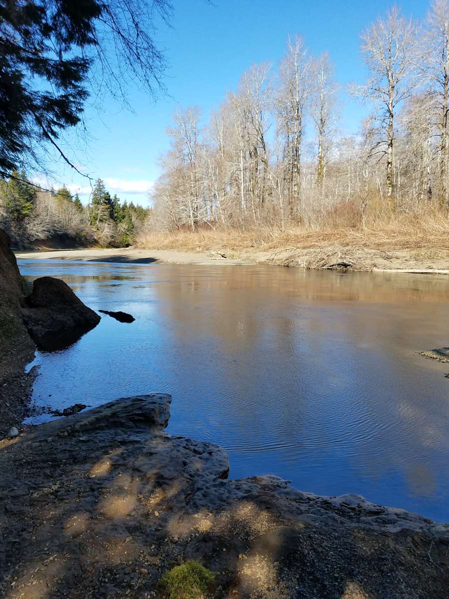 Humptulips Valley River Camp - Hipcamp in Hoquiam, Washington