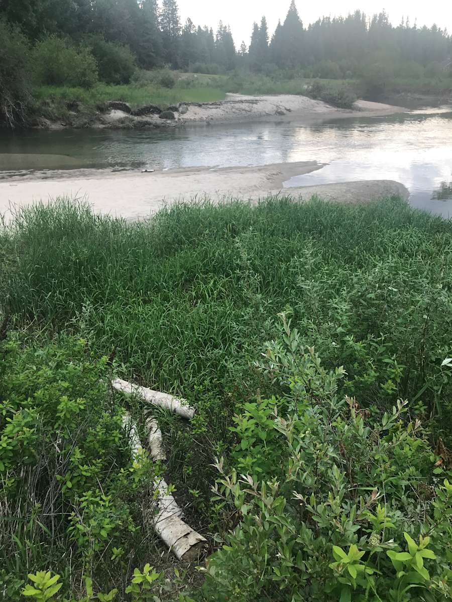 Pack River Retreat - Hipcamp in Ponderay, Idaho