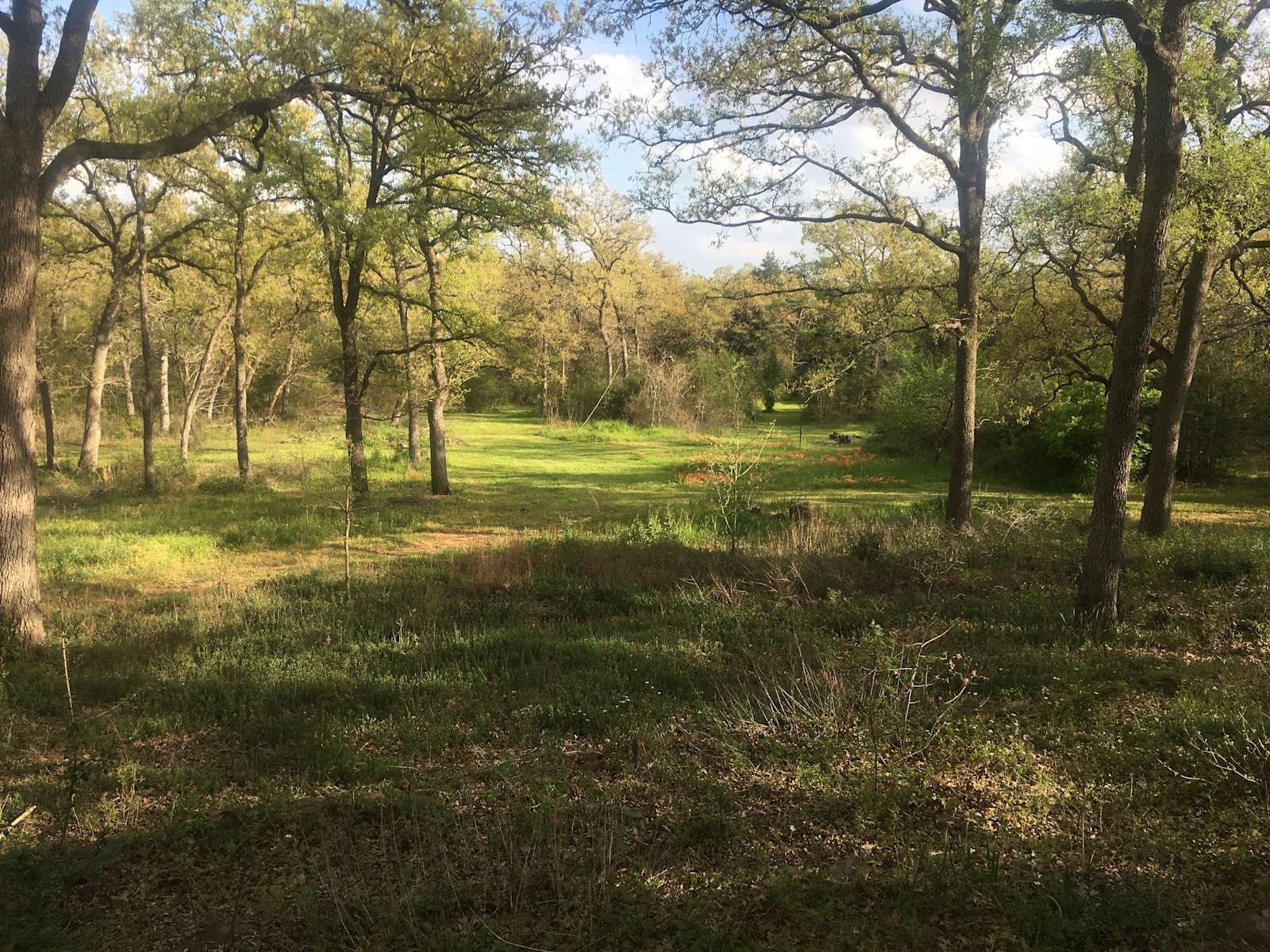 Sweet Valley Farm - Hipcamp in Smithville, Texas