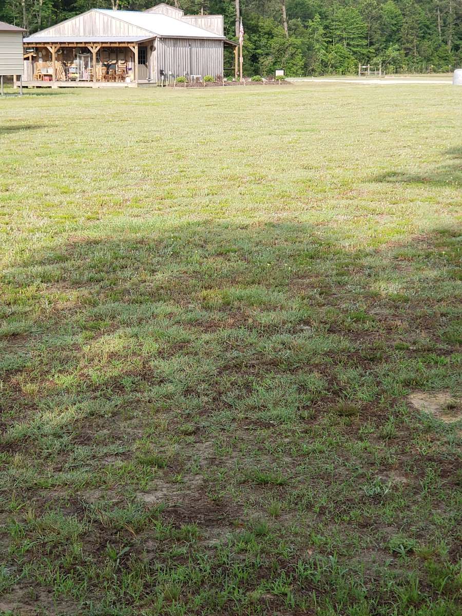 The Rusty Spur - Hipcamp in Aynor, South Carolina