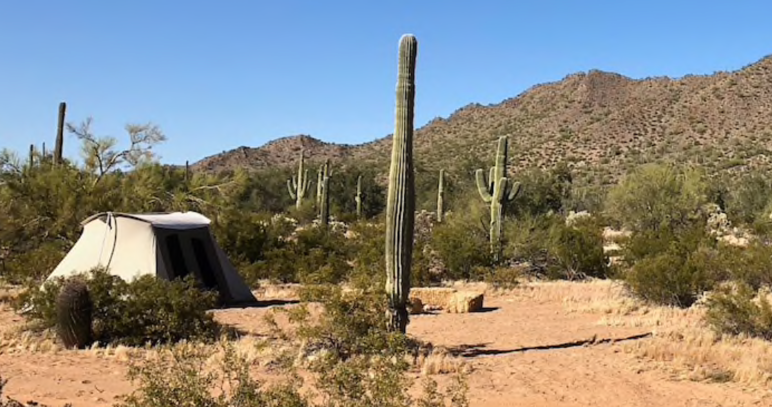 JOY Ranch @ Desert Peak - Hipcamp in Marana, Arizona