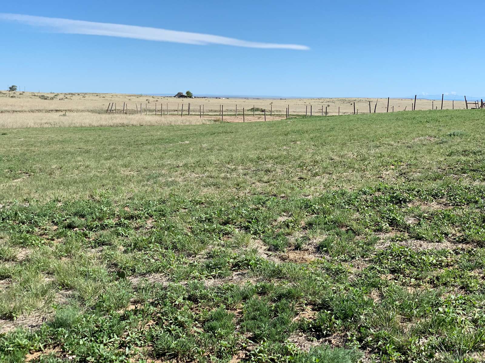 Mag Mell of Hanover - Hipcamp in Colorado Springs, Colorado