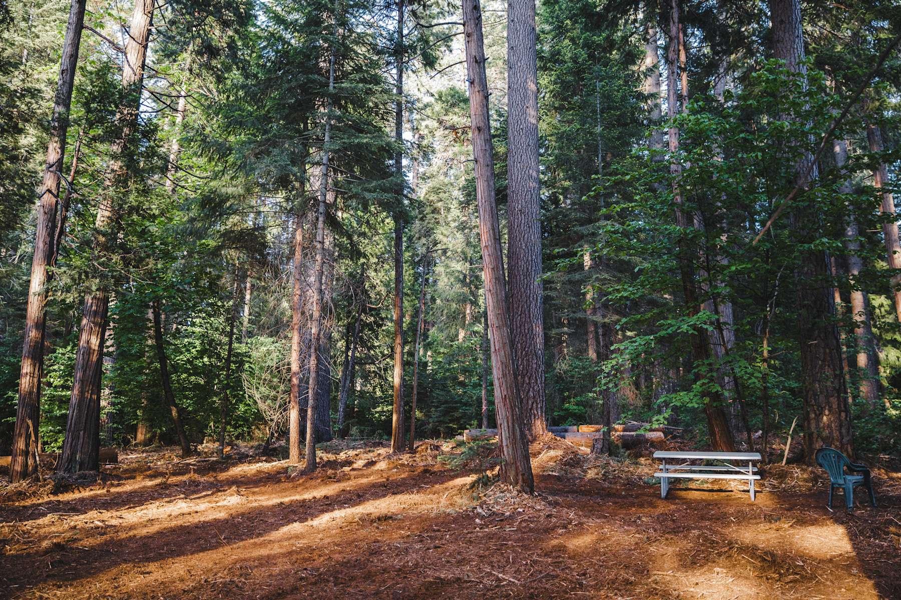 Harris Family Farm and Forest - Hipcamp in Pollock Pines, California