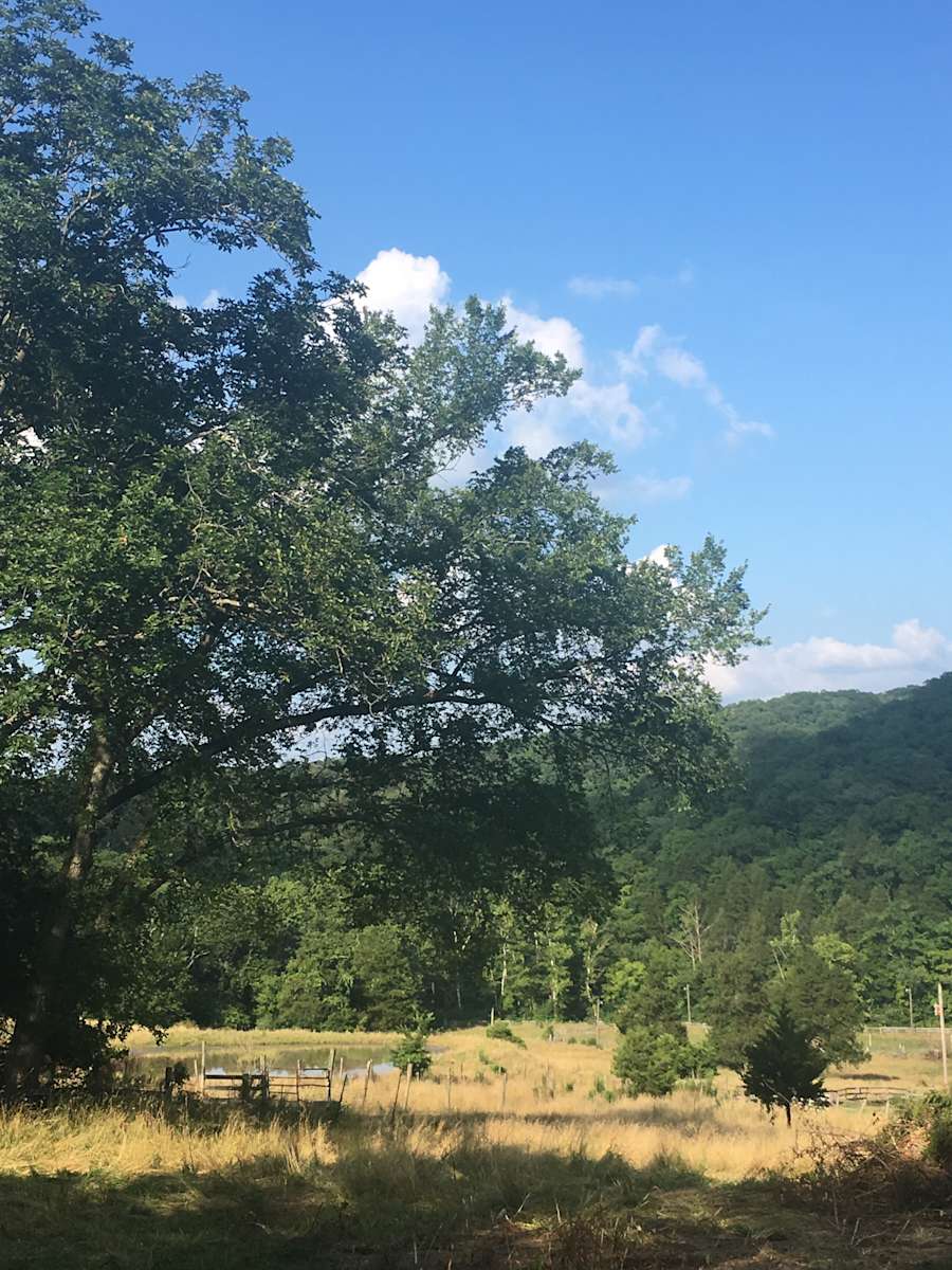 Sudden Valley Ranch - Hipcamp in Warrenton, Missouri