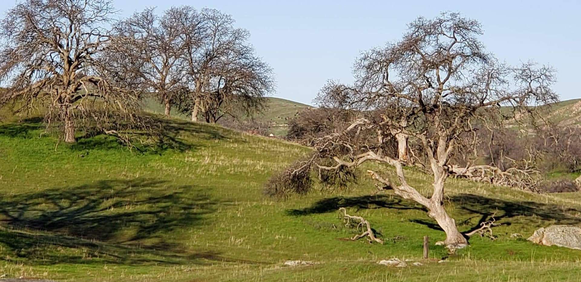 Sunshine Lakefront Meadows - Hipcamp in Raymond, California