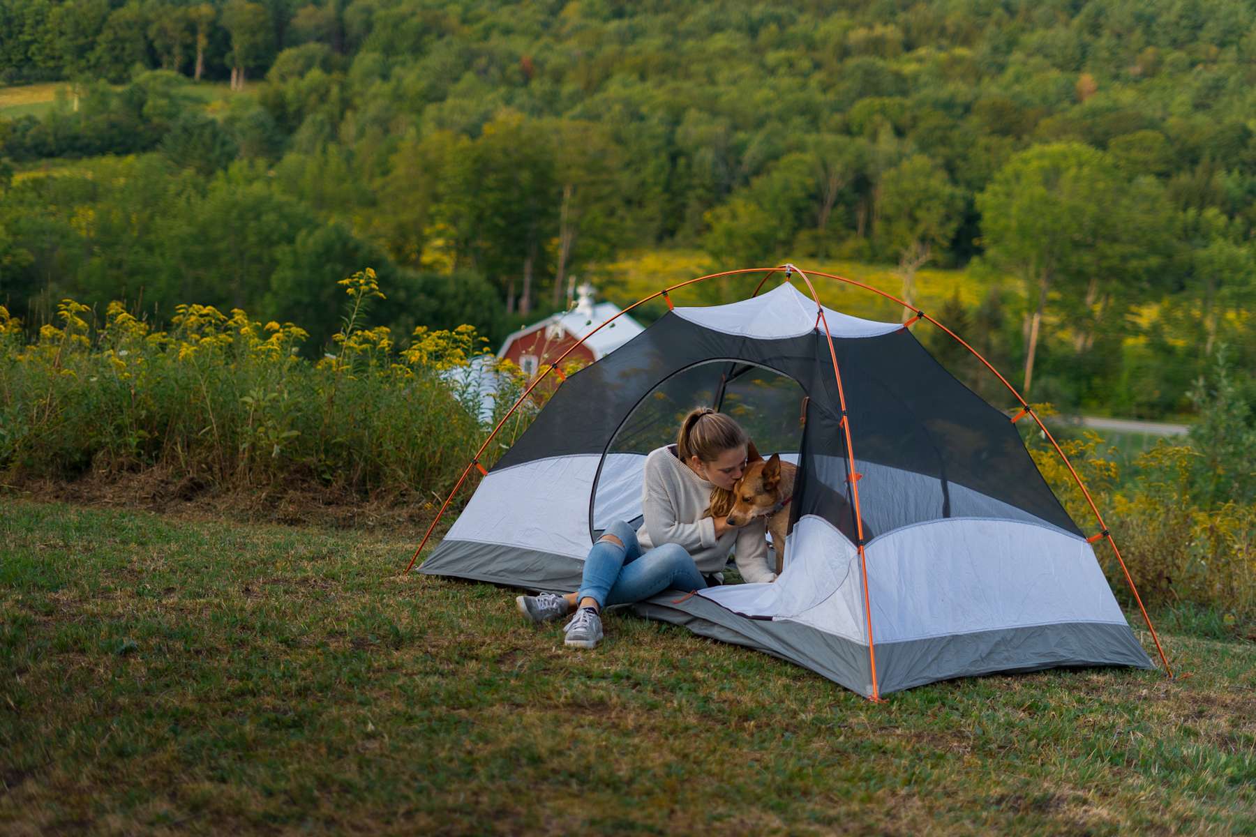 Wooded Farm Land - Hipcamp in Woodstock, Vermont