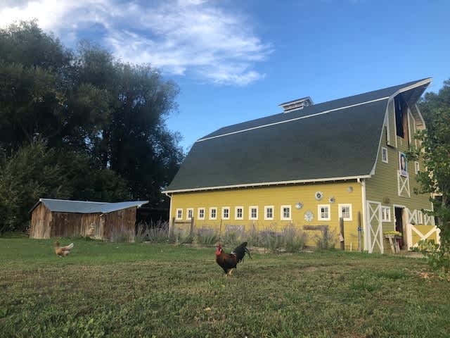 Natural Highs Farm - Hipcamp in Longmont, Colorado