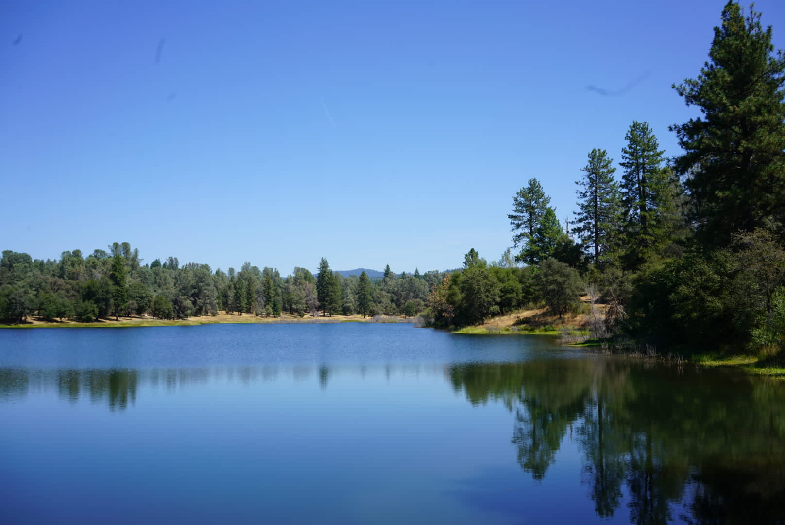 Finnon Lake Recreation Area - Hipcamp in Placerville, California