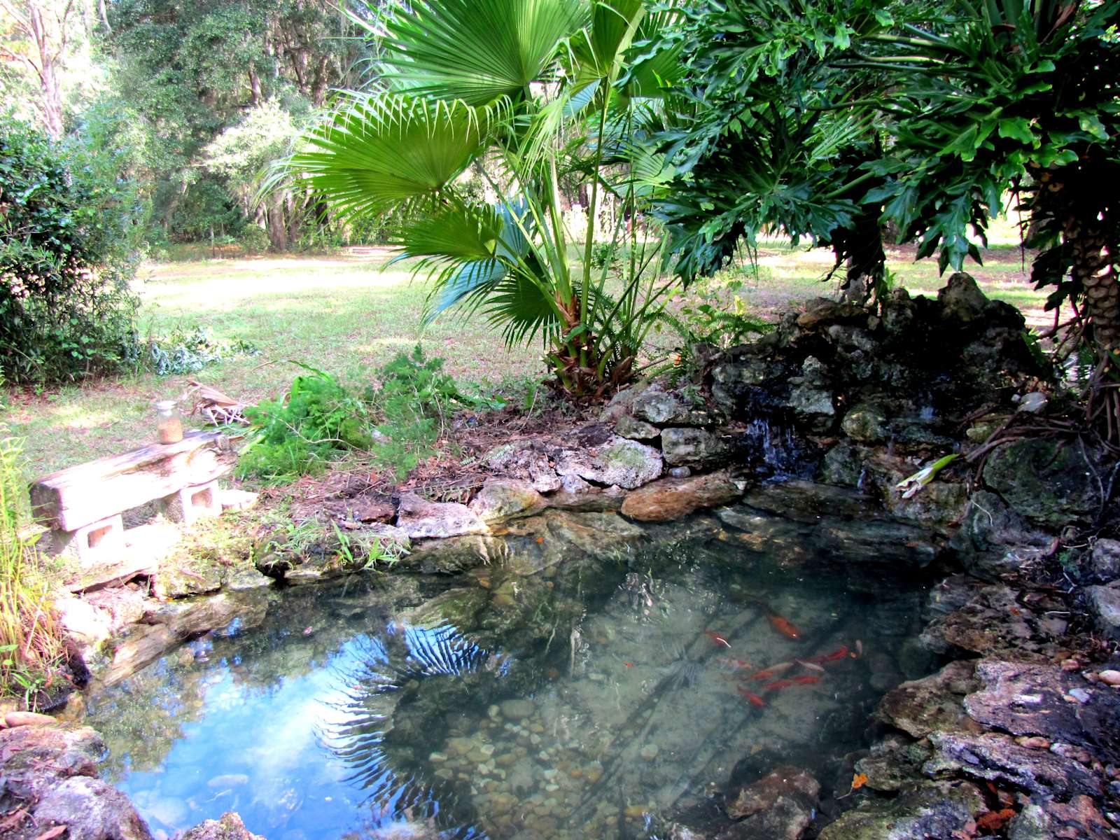 Rustic Retreat in NE FL - Hipcamp in Alachua, Florida