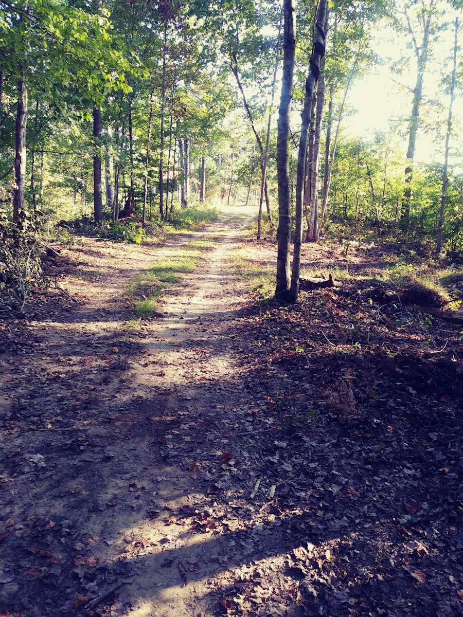 Millbranch Farm - Hipcamp in Adams, Kentucky