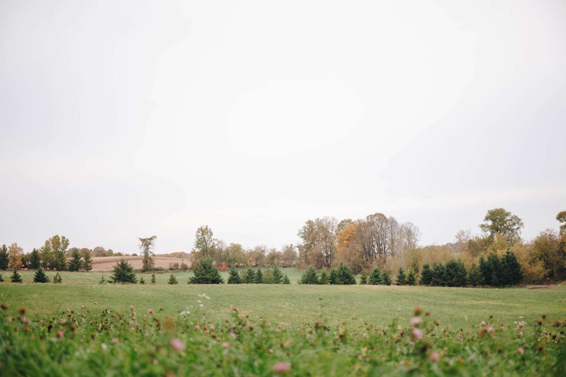 Purplehaze Acres - Hipcamp in Rubicon, Wisconsin