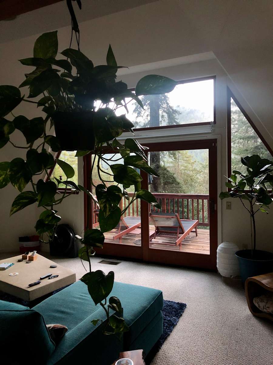 Geodesic Dome in the Redwoods - Hipcamp in Cazadero, California