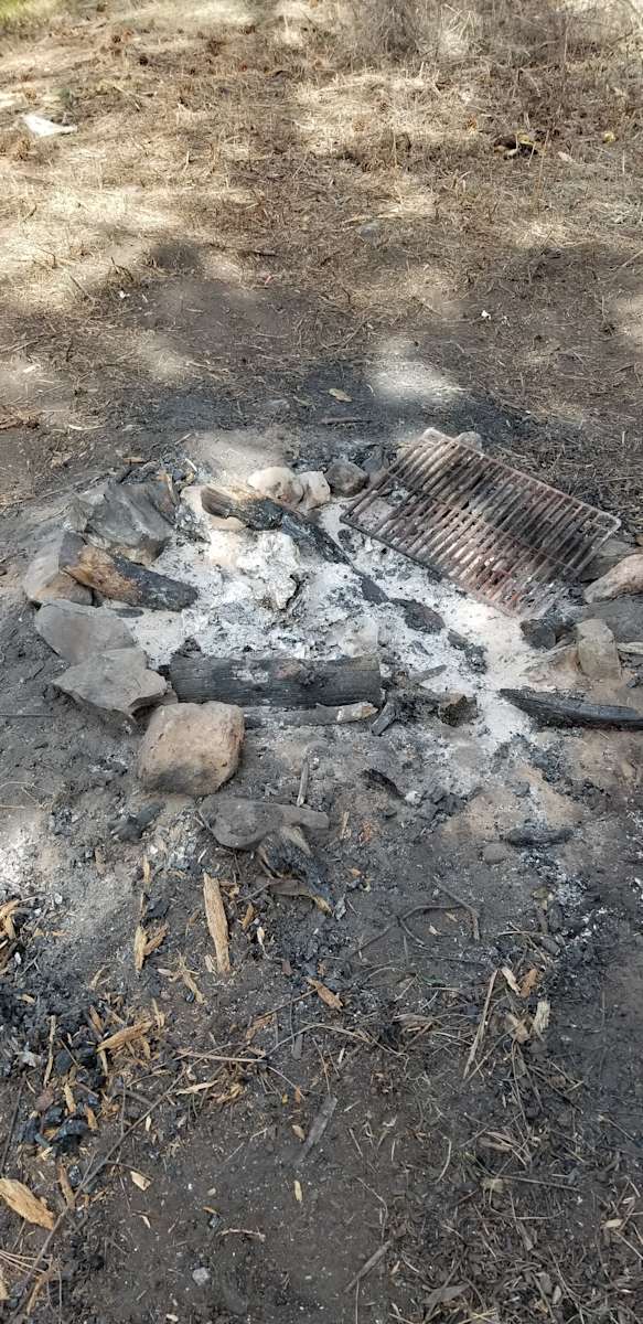 Tiny Woodsy Cabin - Hipcamp in Drake, Colorado