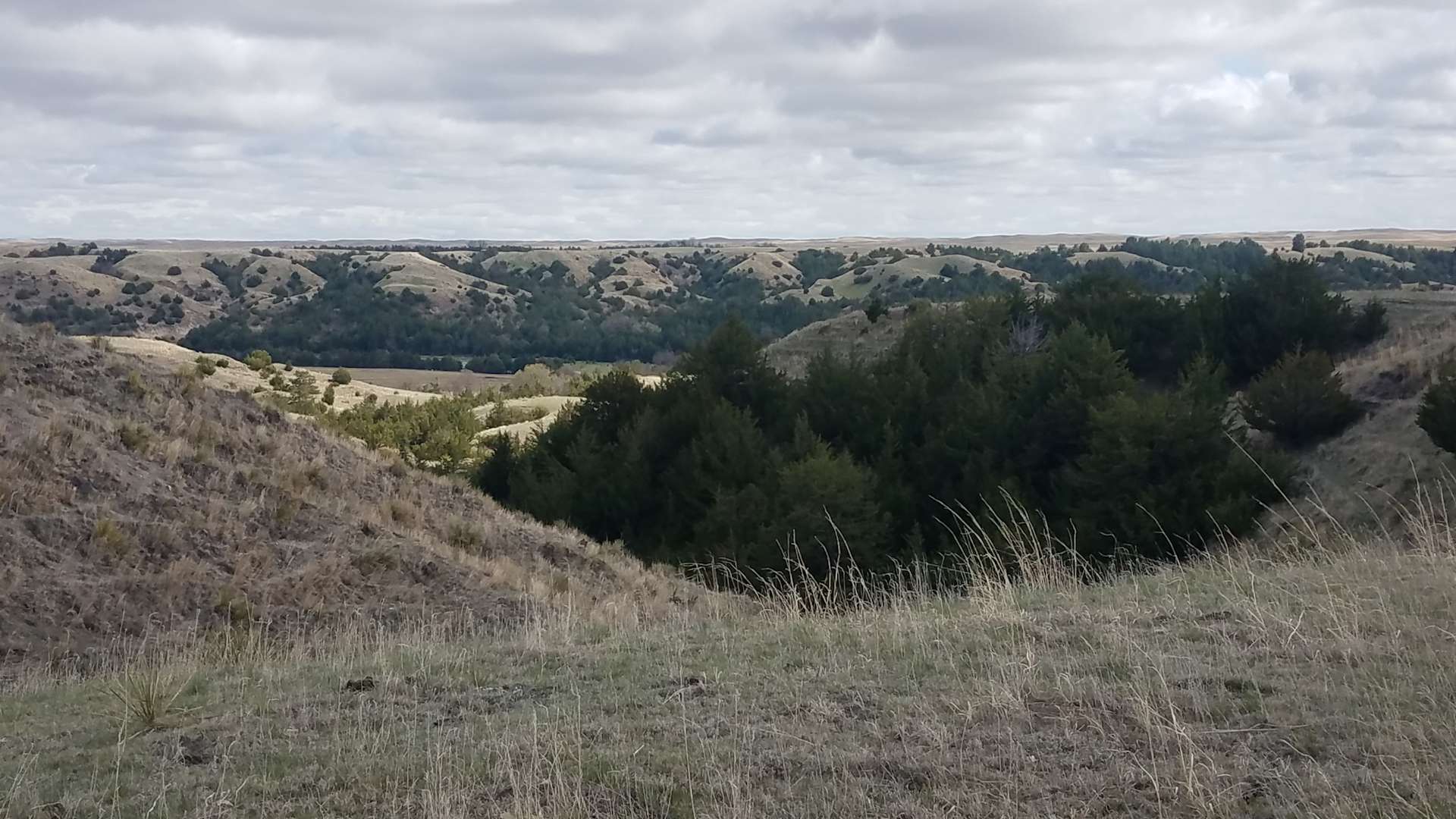 North Camp - Hipcamp in Cody, Nebraska