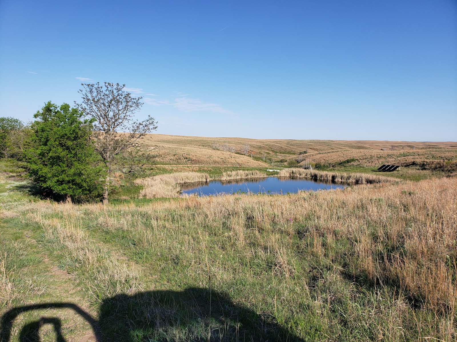 Alexander Ranch - Hipcamp in Sun City, Kansas