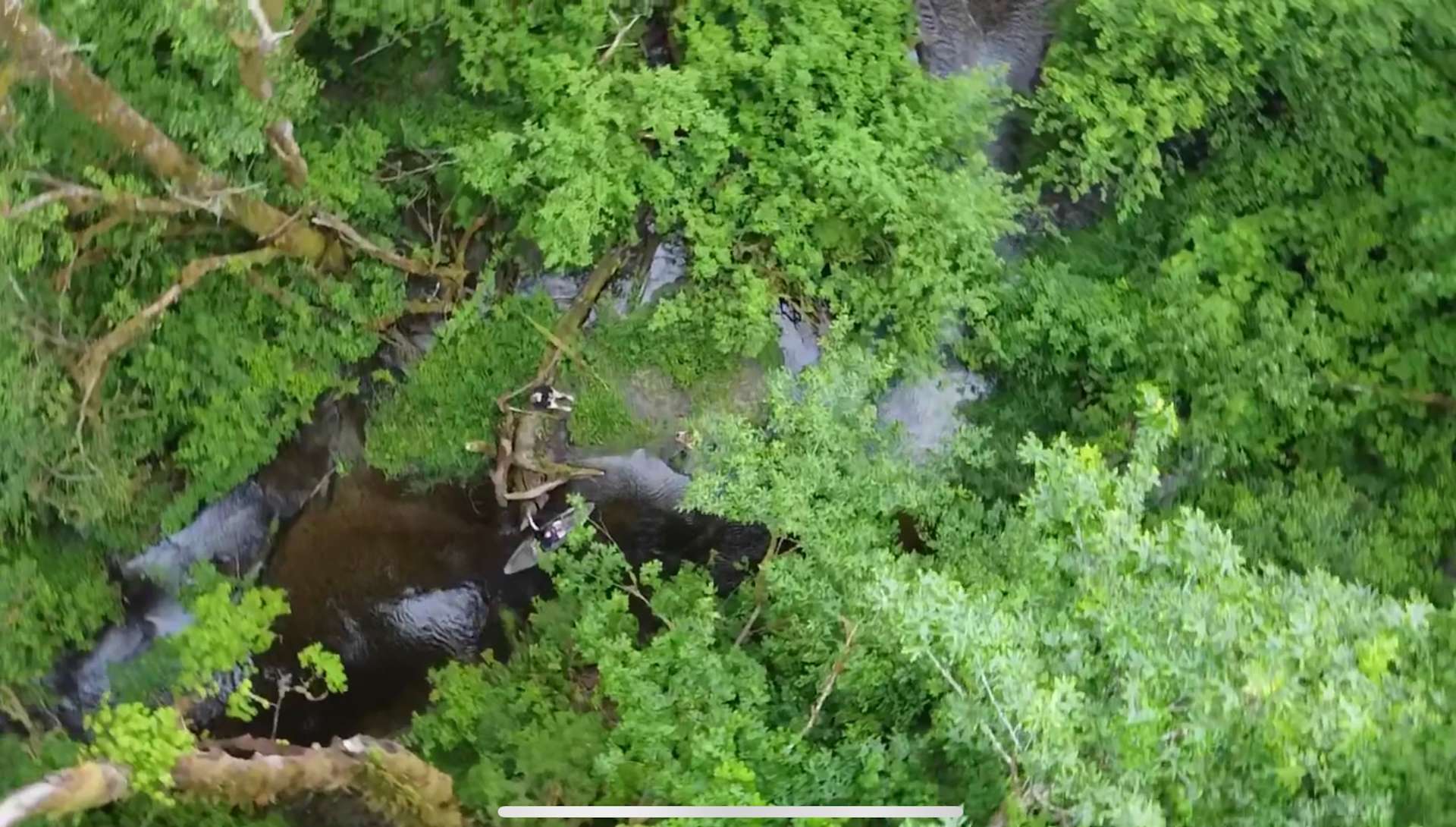 Curley Creek Canyon - Hipcamp in Port Orchard, Washington