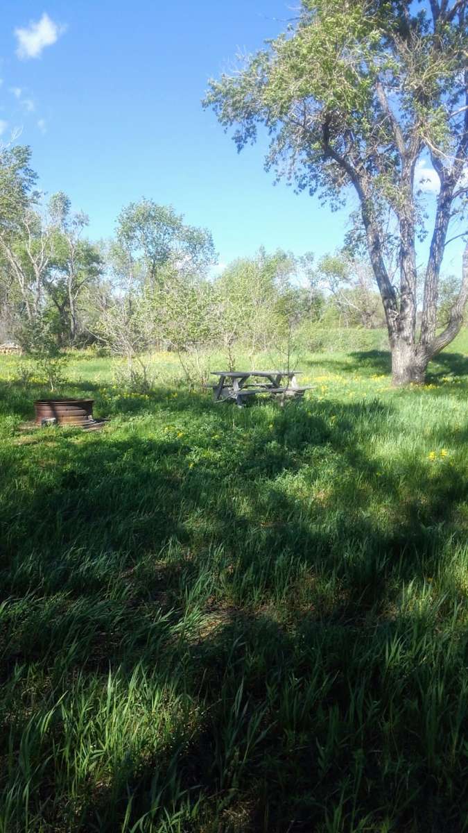Shaded Retreat - Hipcamp in Bynum, Montana