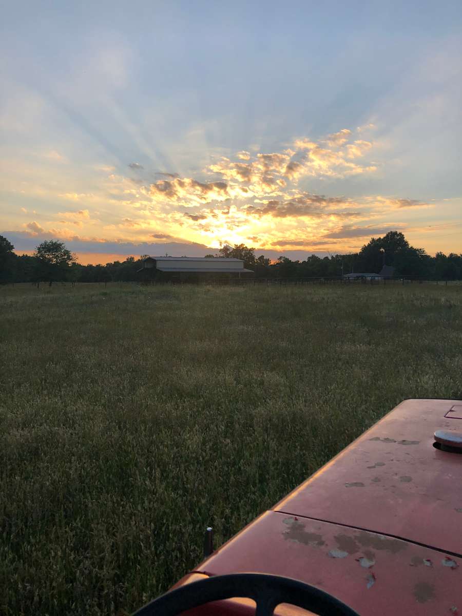 Country Escape - Hipcamp in Blossom, Texas