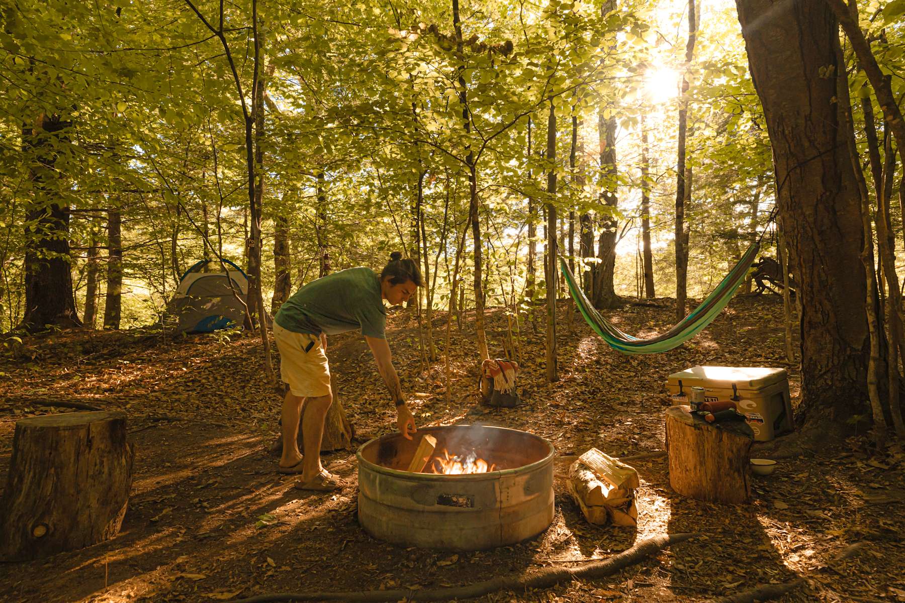 Maple Ridge Farm - Hipcamp in Guilford, Vermont