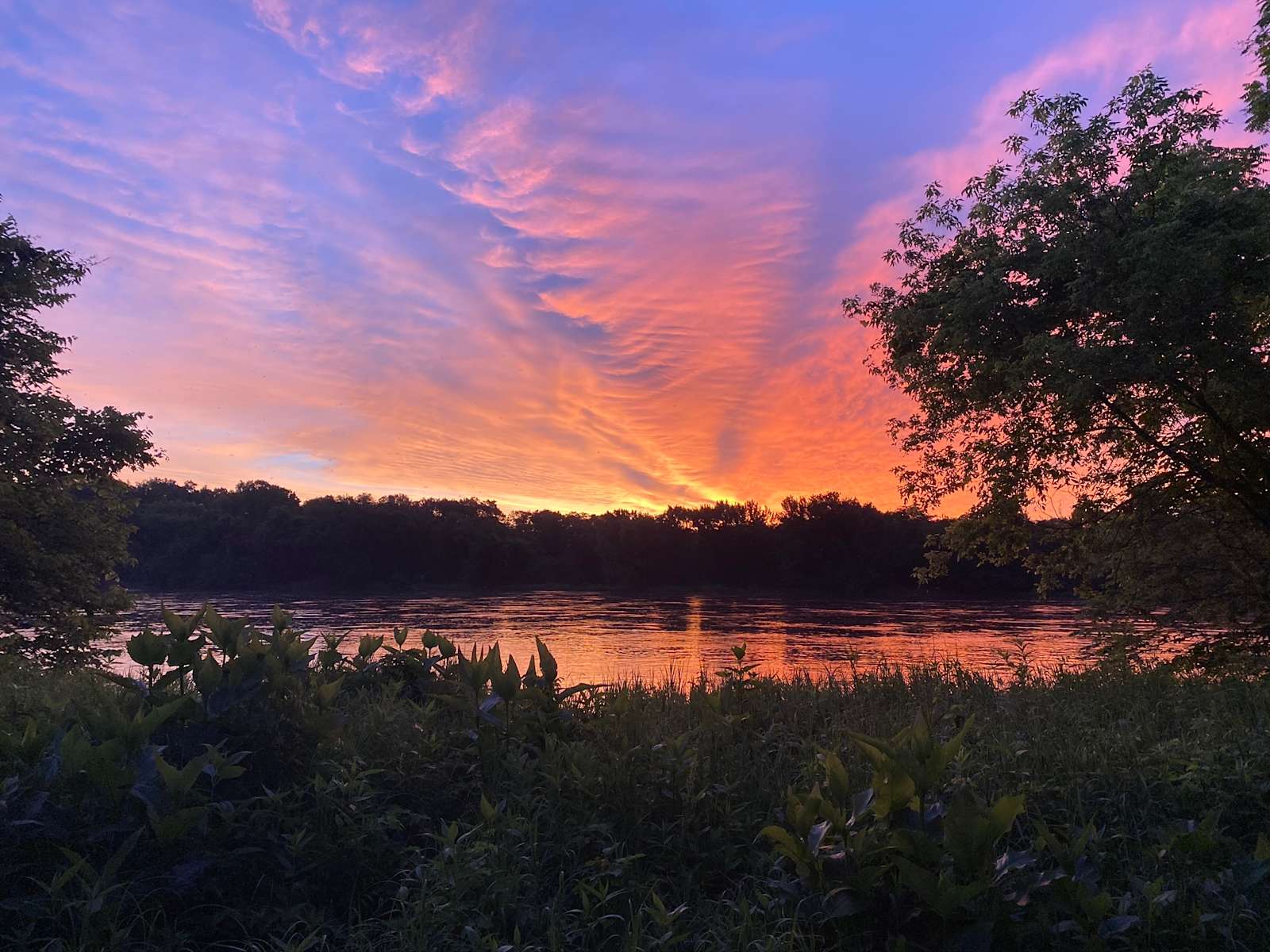 Draco Hill Nature Farm - Hipcamp in West Branch, Iowa