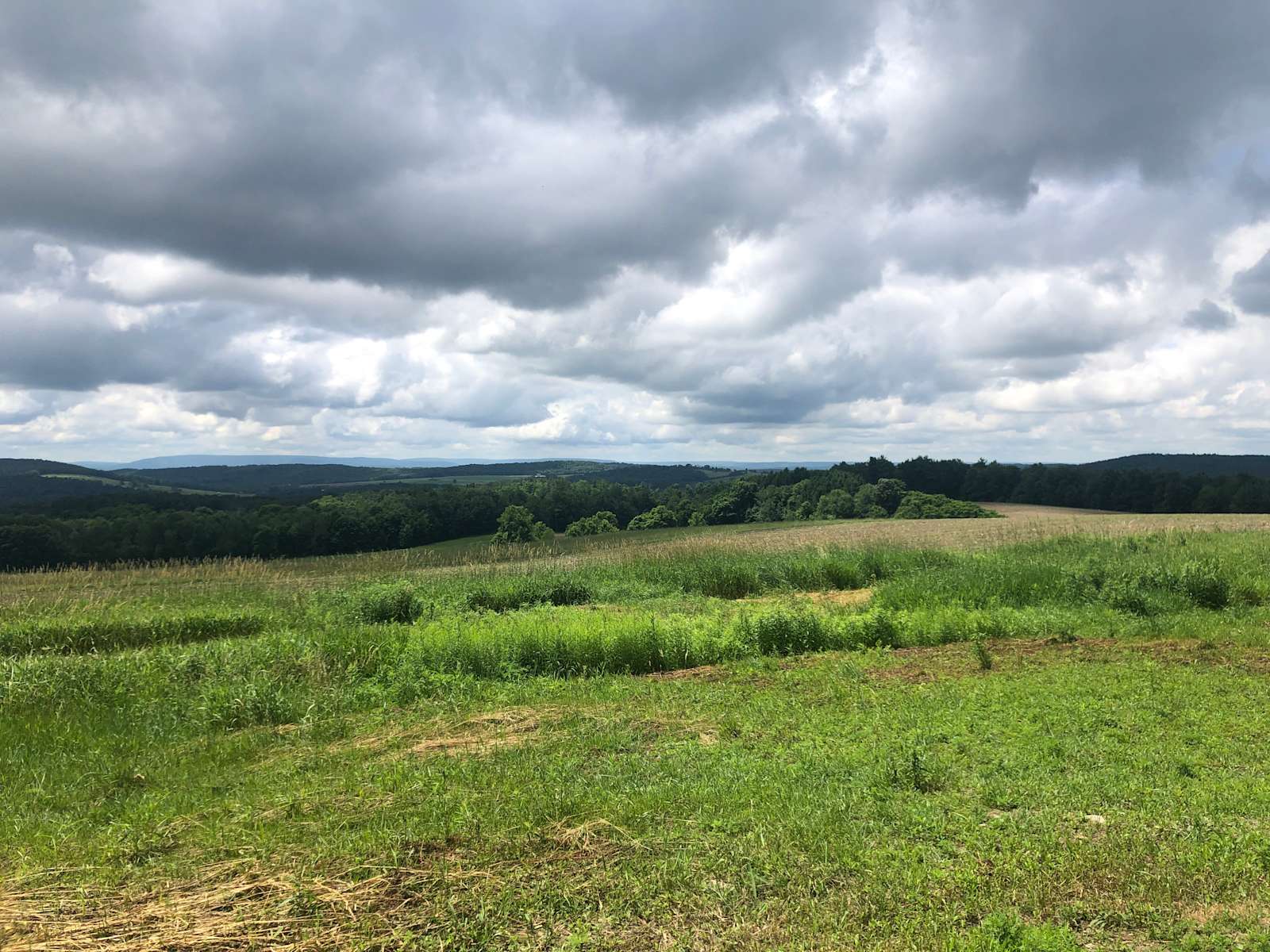 C.A.L.M - Hipcamp in Rome, Pennsylvania