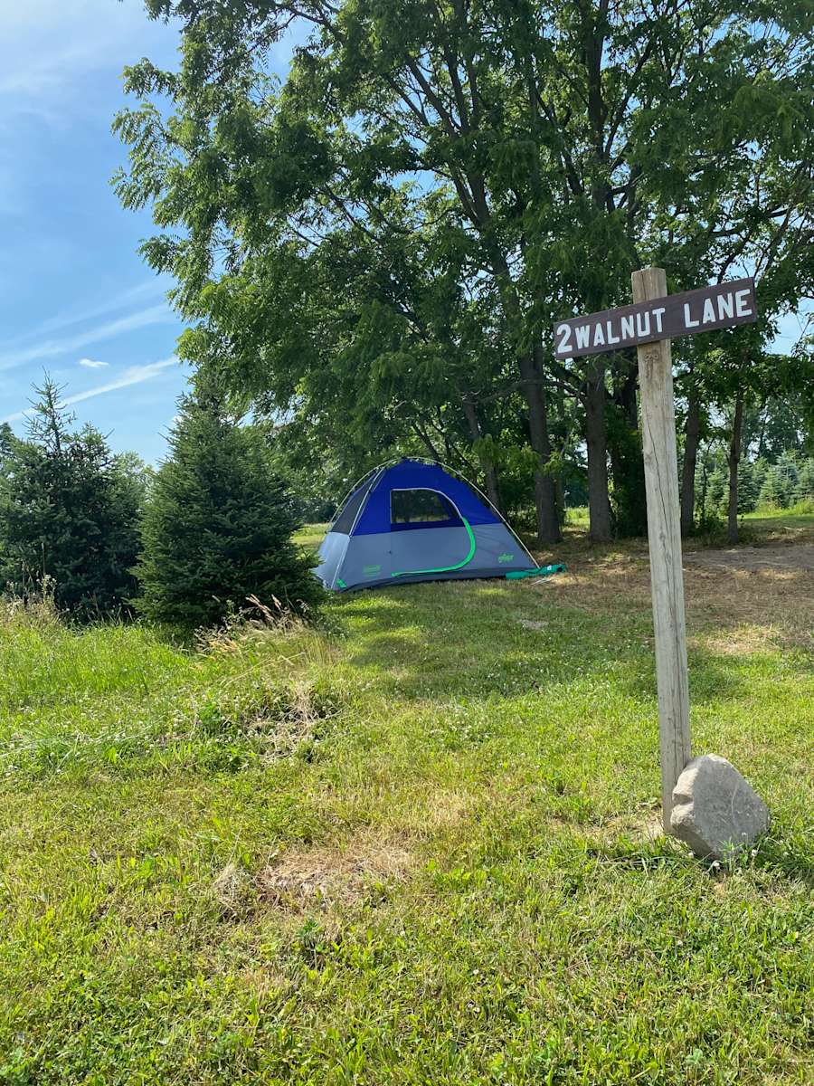 Pioneer Trails Tree Farm Campground - Hipcamp in Poland, Ohio