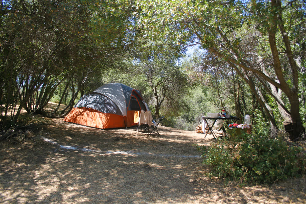 Havilah Pines homestead - Hipcamp in Havilah, California