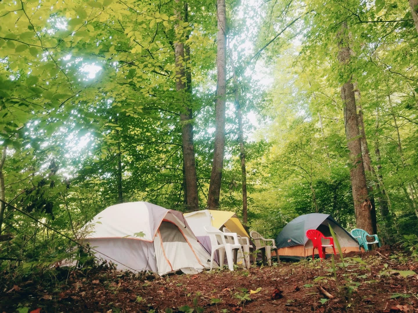 Zen Camp - Hipcamp in Marion, North Carolina