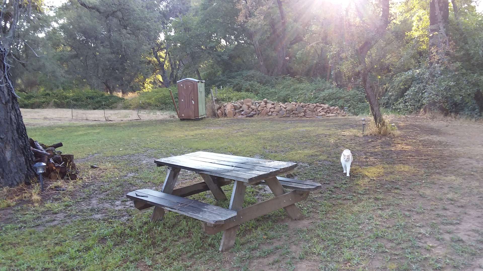 Personal Creekside Camping - Hipcamp in Penn Valley, California