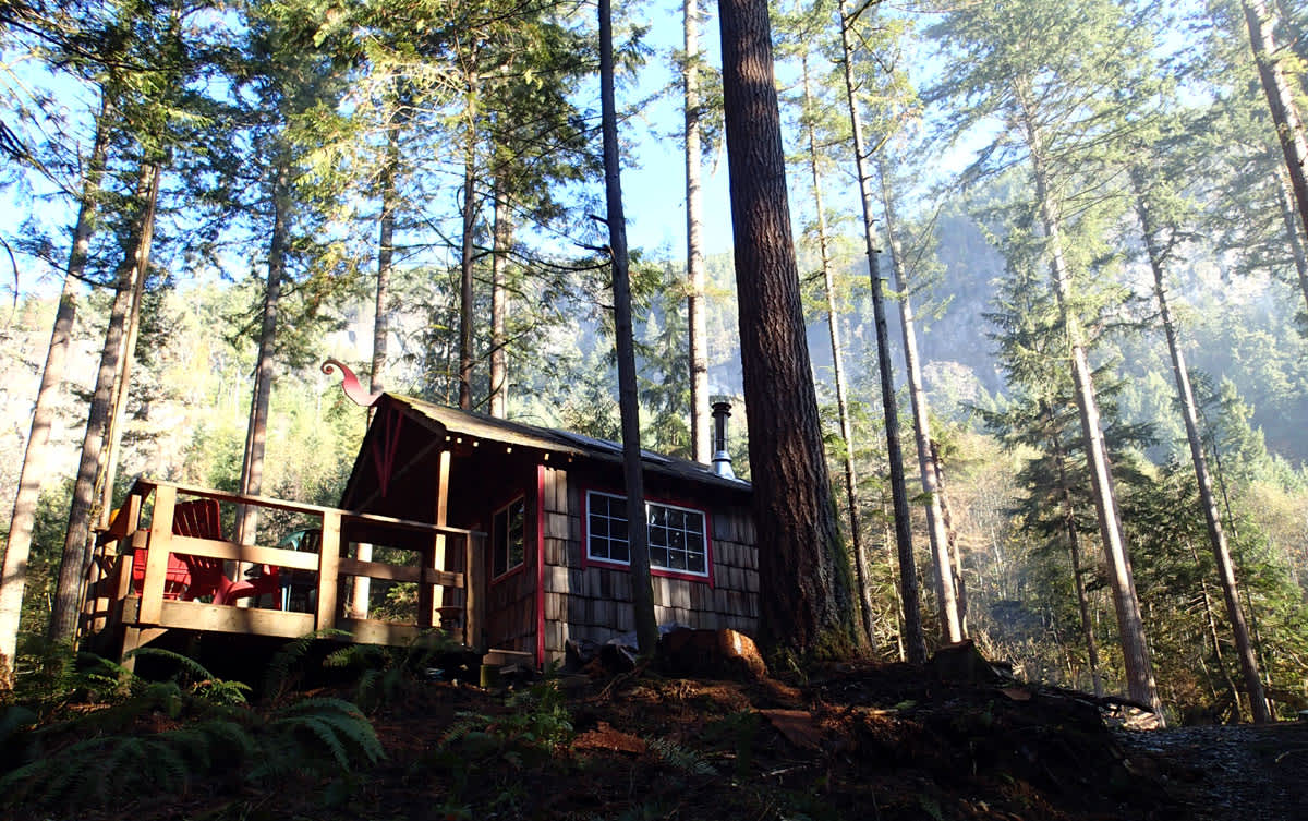 Valhalla Tree Farm - Hipcamp in Arlington, Washington