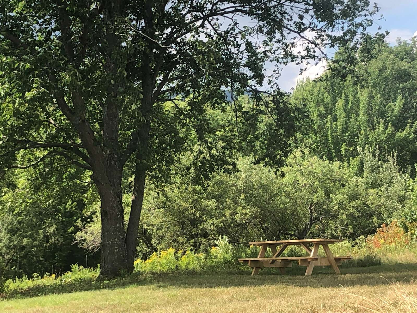 BlueberryHill Field Camp - Hipcamp in Goshen, Vermont
