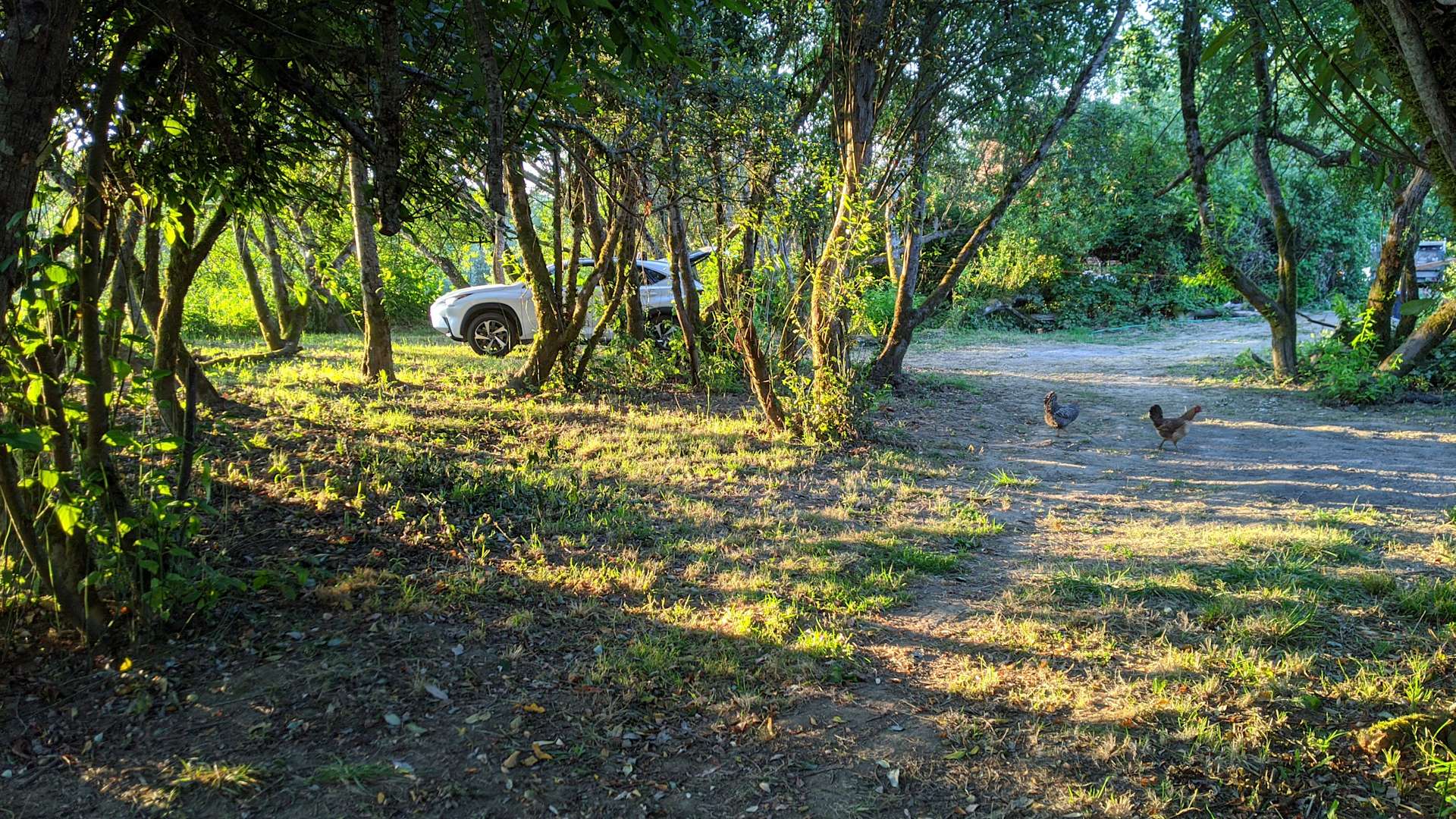 Foley's River Camp - Hipcamp in , Oregon