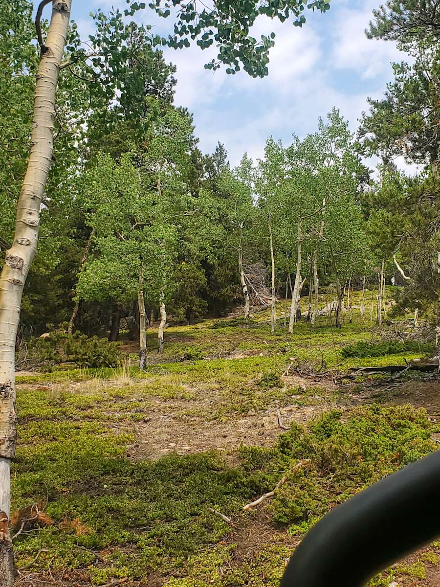 Rocky Mountain High .. Adventures - Hipcamp in Idaho Springs, Colorado