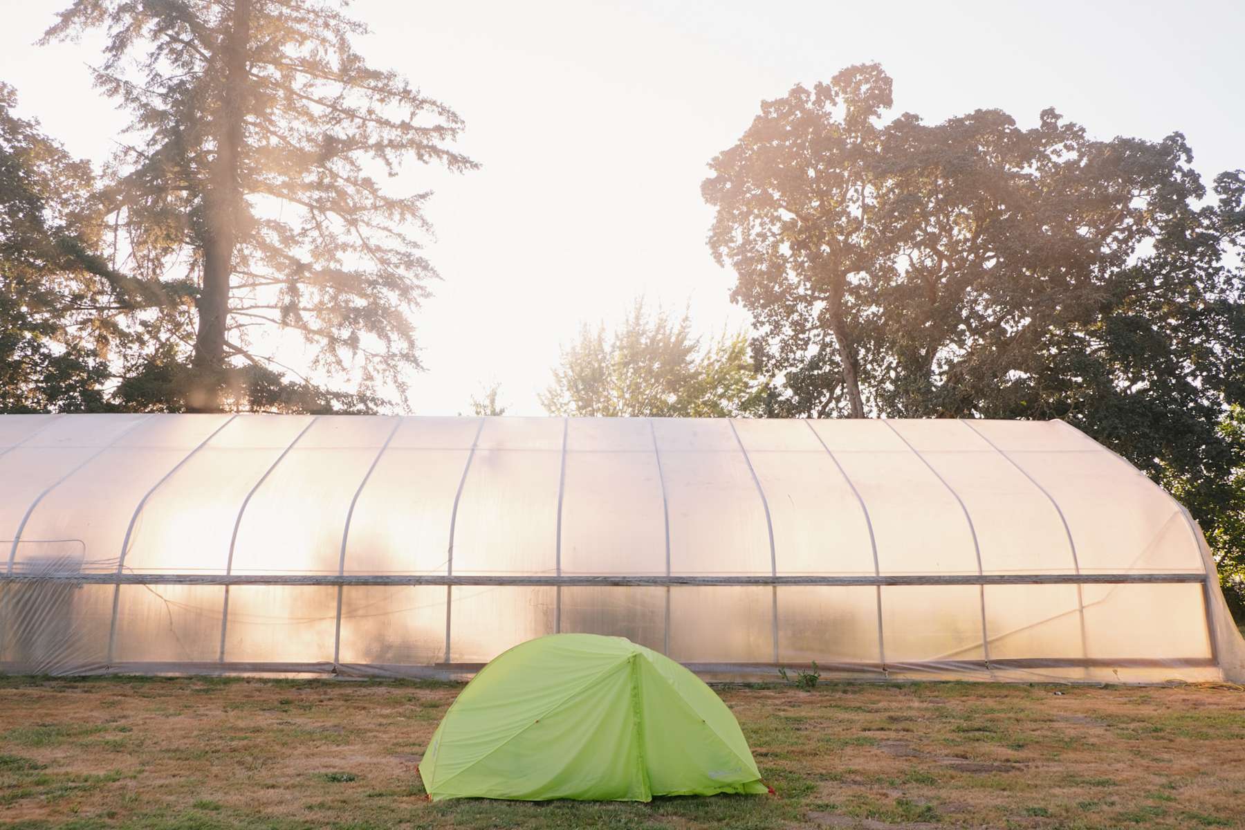 Nature All Around - Tree Top Farms - Hipcamp in Salem, Oregon
