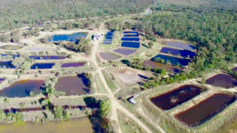 Outback Fish Farm - Hipcamp in Jacks Creek, New South Wales
