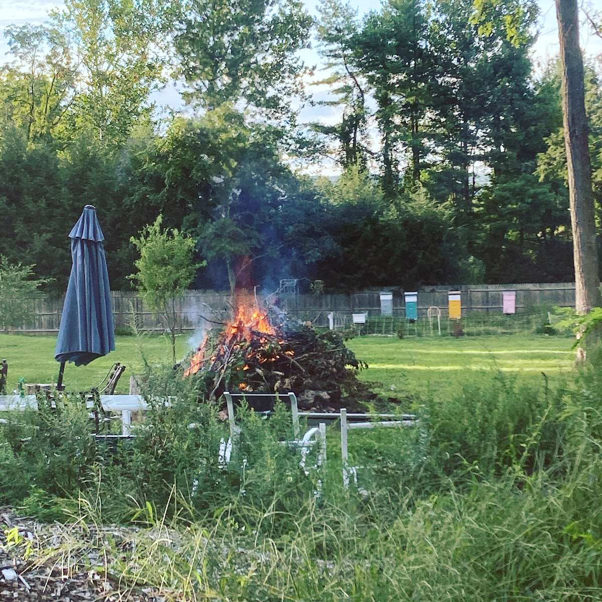 Private 4 acre Farm .5M off i84 - Hipcamp in Southbury, Connecticut