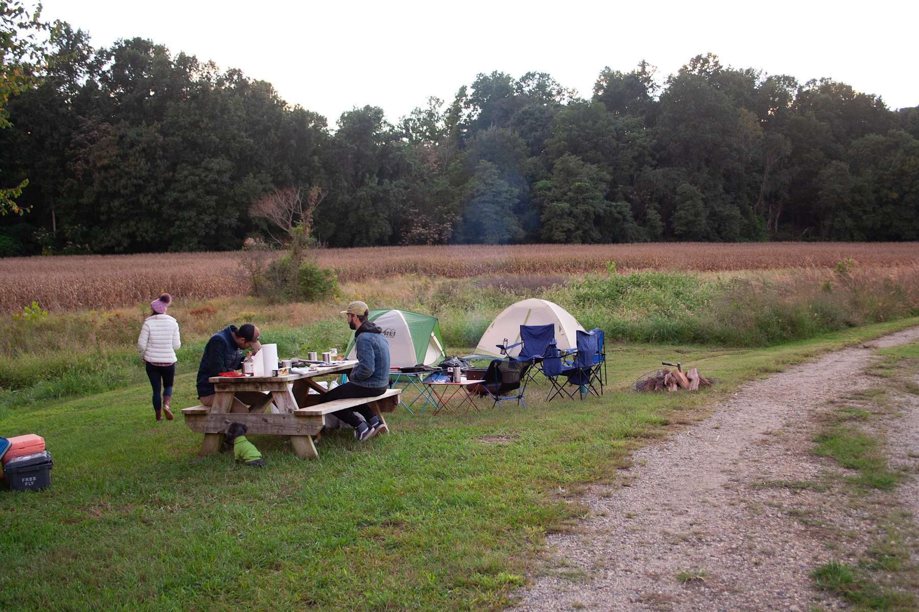 Bald Eagle Farm on the Patuxent - Hipcamp in Brandywine, Maryland