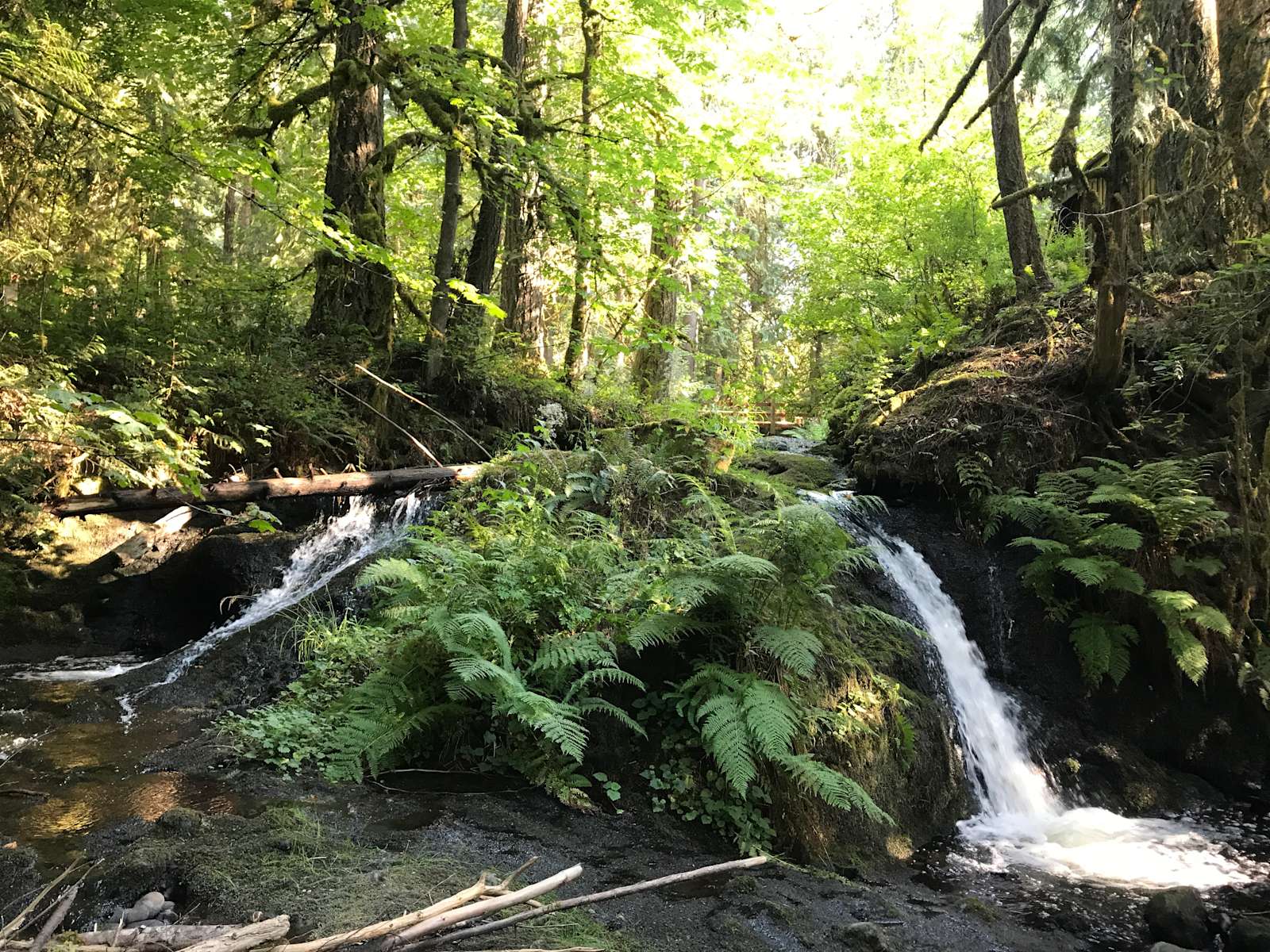 Camp Colton - Hipcamp in Colton, Oregon