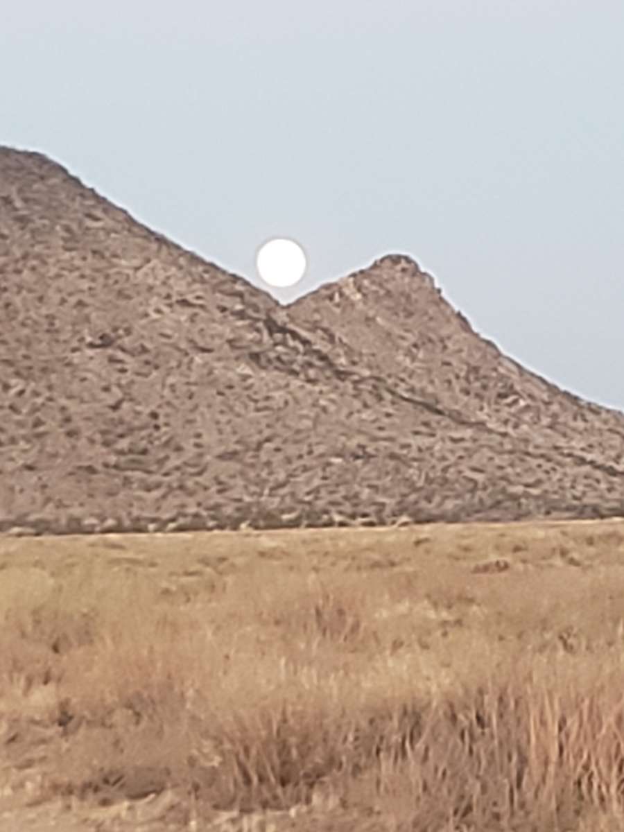 Moore Ranch - Hipcamp in Chloride, Arizona