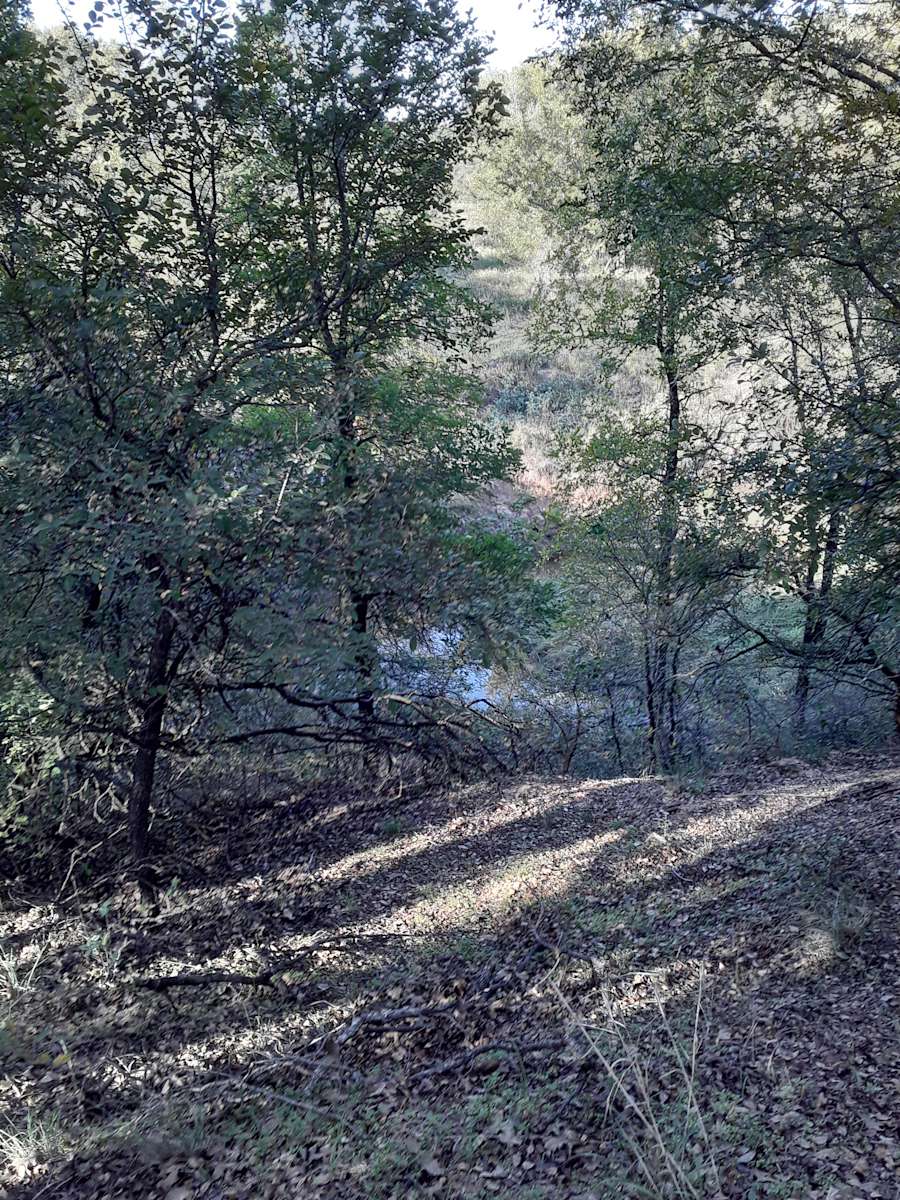 Laurie S.’s Land - Hipcamp in De Leon, Texas