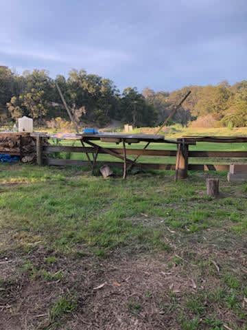 Bega Riverside, Kalaru - Hipcamp in Kalaru, New South Wales